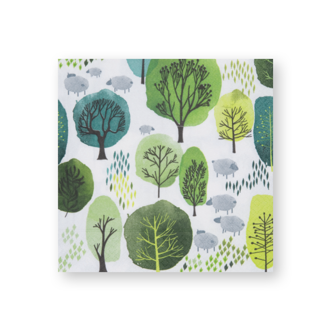 New Arrivals – Scandinavian North
